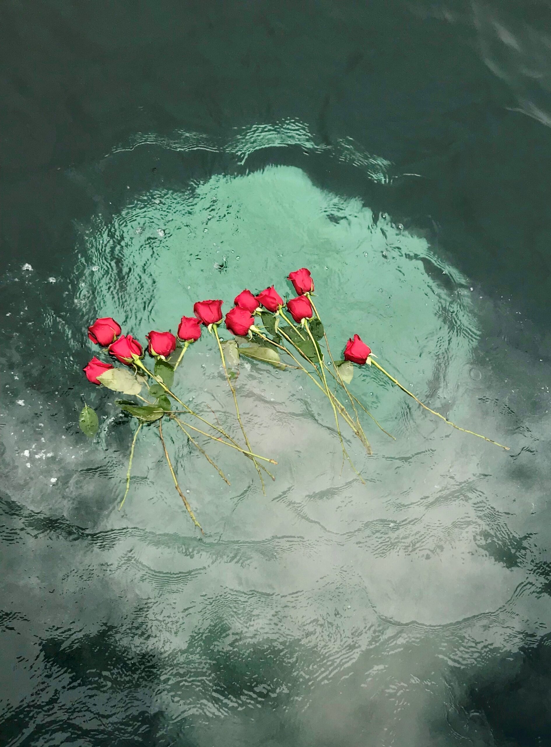 Home - Burial at Sea - Metamorphosis Boat Charters