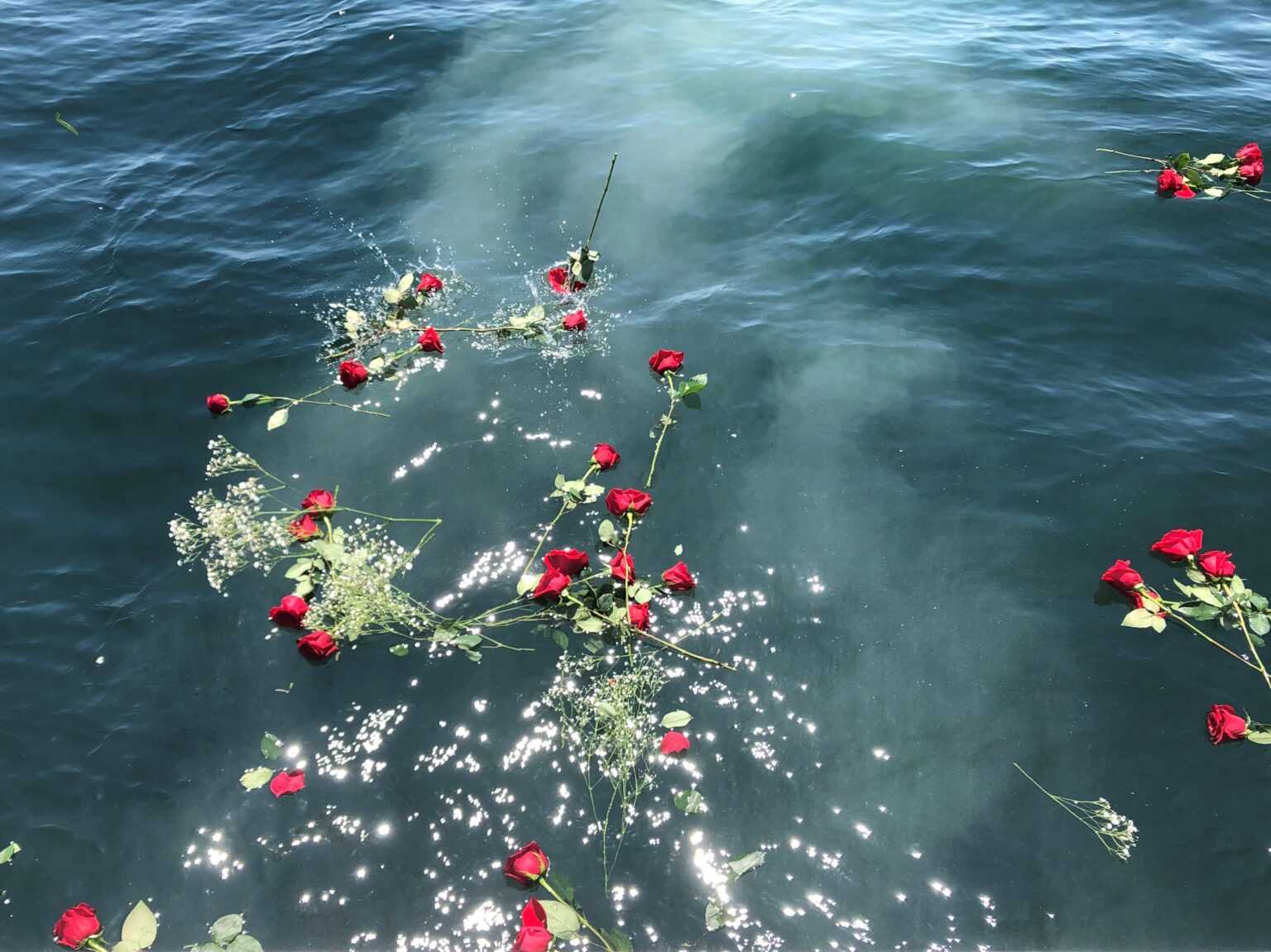 Options and Pricing - Ashes Scattering / NJ Burials at Sea